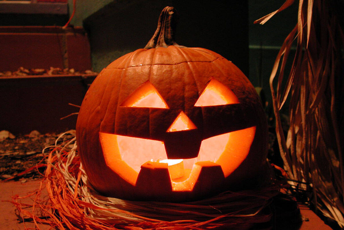 From black cats to pumpkins: unraveling origins of Halloween symbols ...
